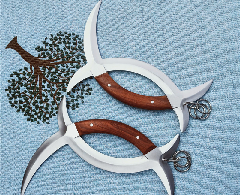 Double Deer Horns Swords Bagua Yue with Rings - Everything Wushu